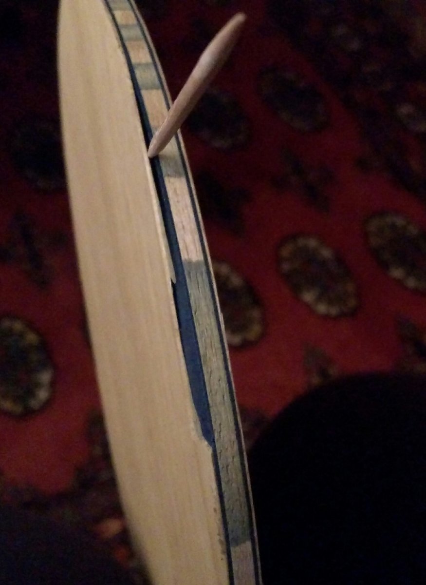 Pareri sulla mia prima racchetta | Tennis-Tavolo.com